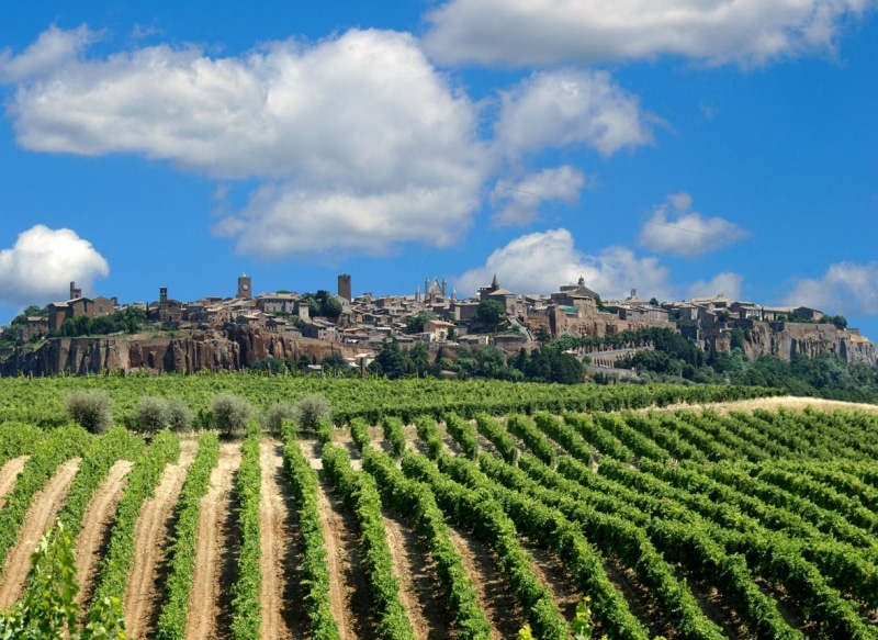 5-6 hours guided tour | Orvieto